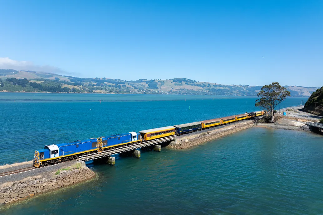 Love trains? Make tracks for Dunedin - Ōtepoti | Dunedin New Zealand ...